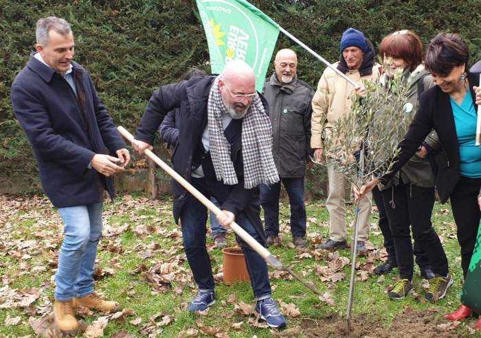 L’Emilia pianta 4,5 milioni di alberi | 24Emilia