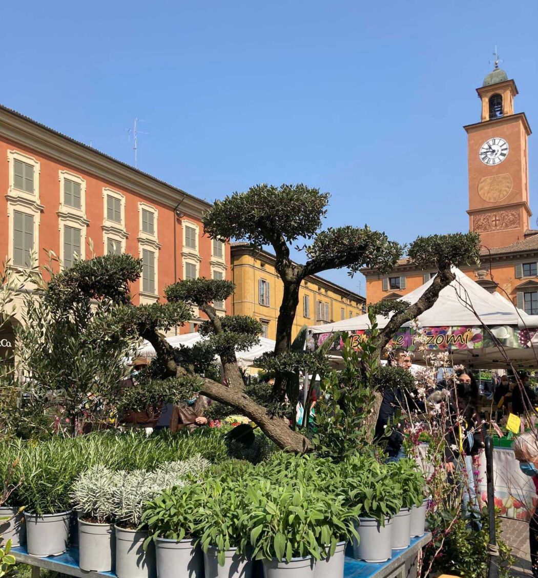Nel weekend torna Reggio in fiore | 24Emilia