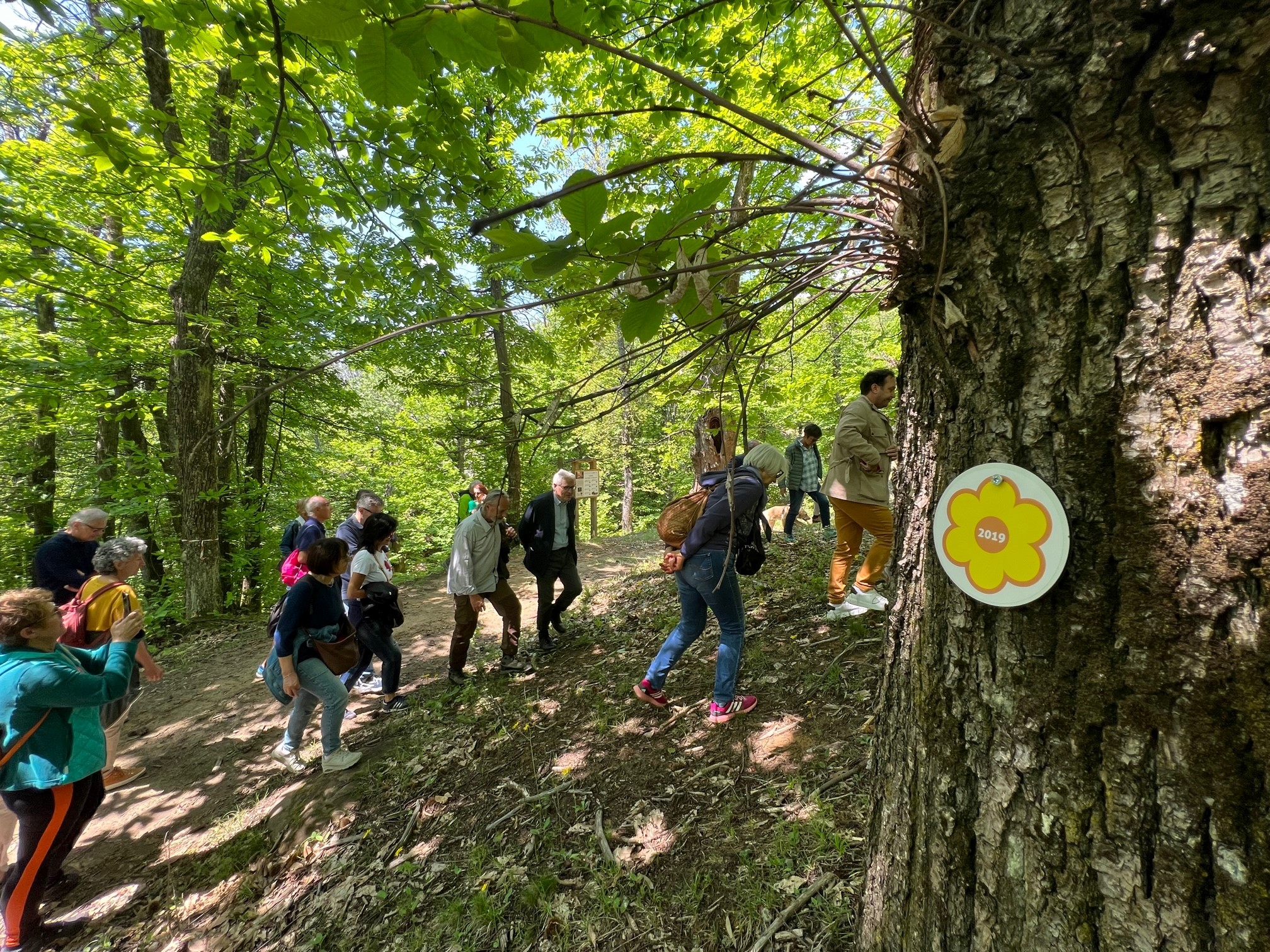 Conad: insieme per l’ambiente e il Castagneto Matildico di Marola ...
