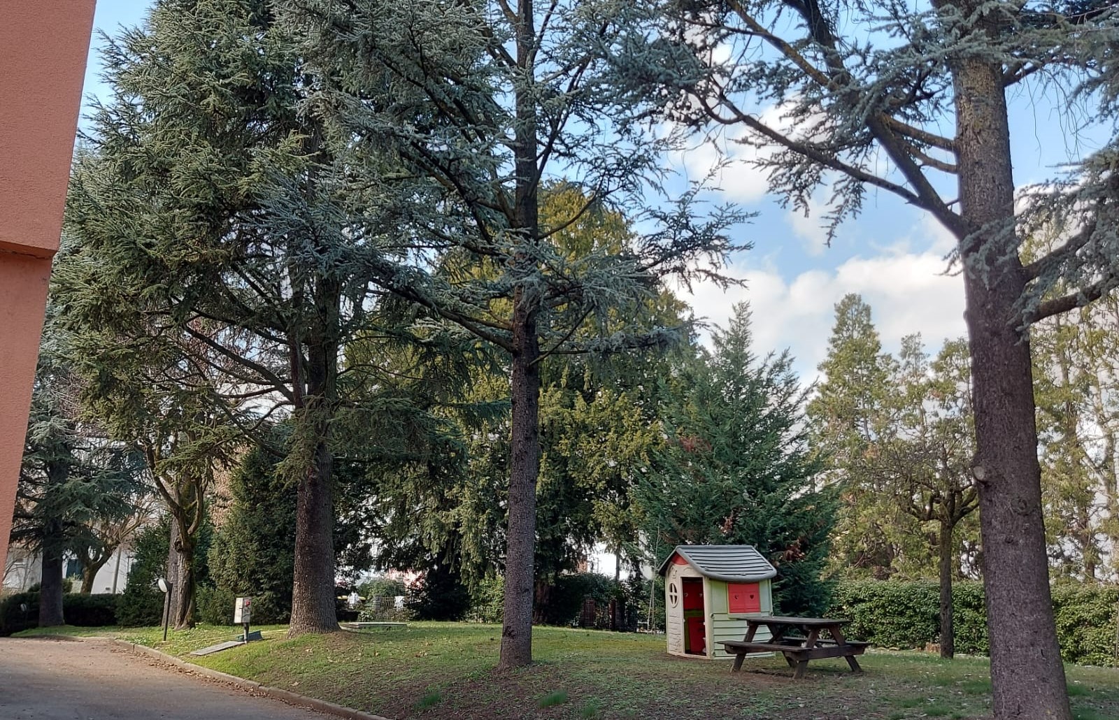 Fazioni in lotta per le sorti di 7 alberi a Codemondo di Reggio | 24Emilia