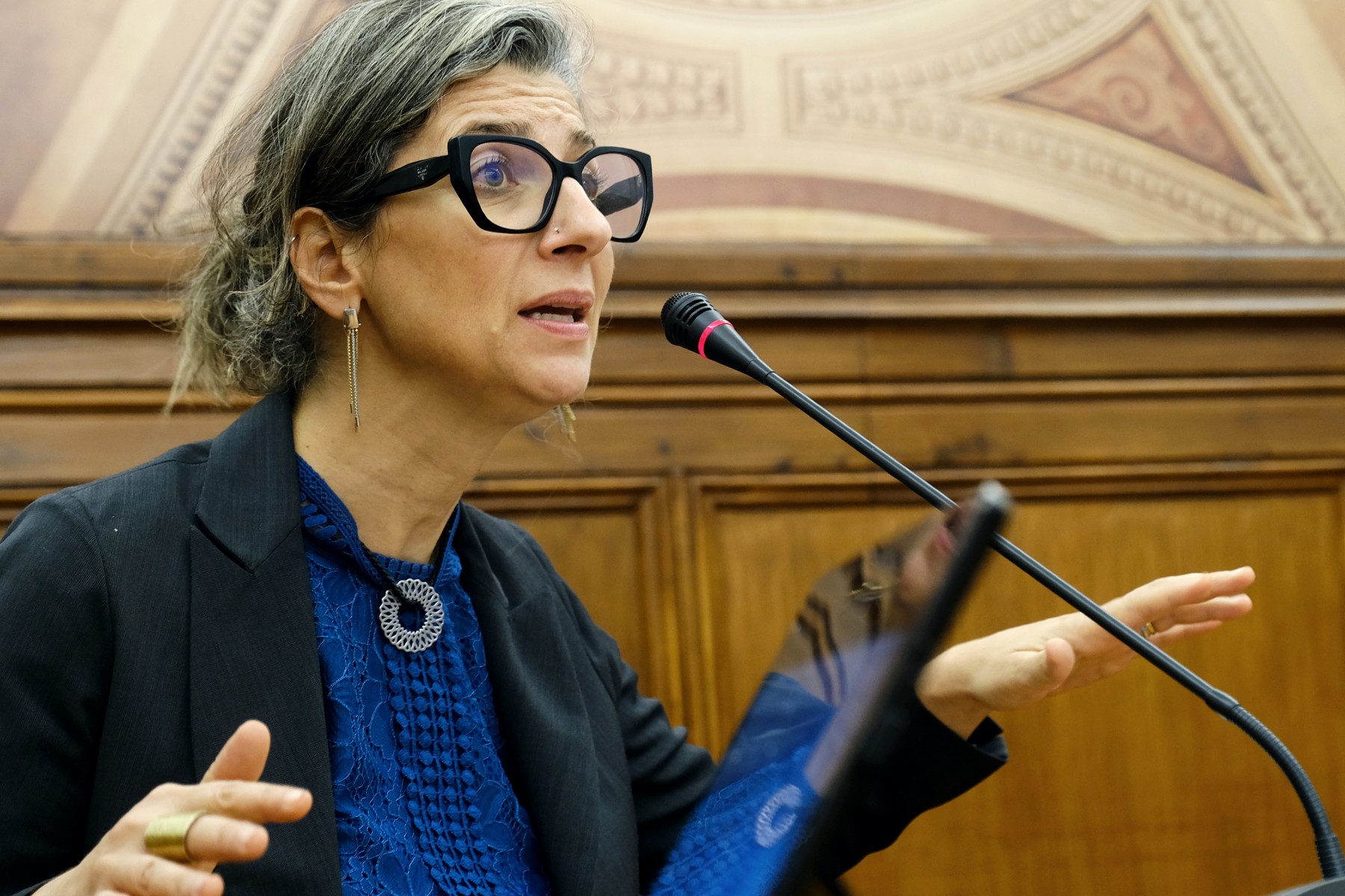 Italia Viva, +Europa e Psi Reggio: “Sì al Primo Tricolore ad Albanese ...