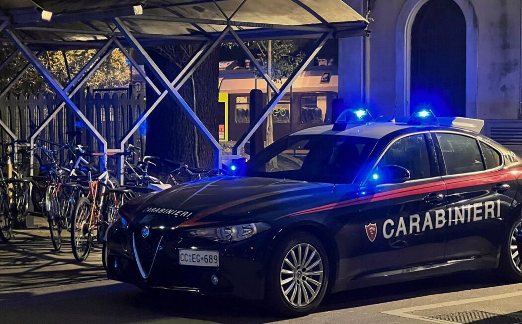 Cadelbosco Sopra. Urla, bivacchi, musica alta di notte e danni ...